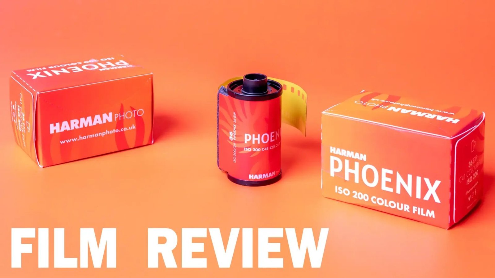 Harman Phoenix Color Film Review: Insights from 36 Exposures ...